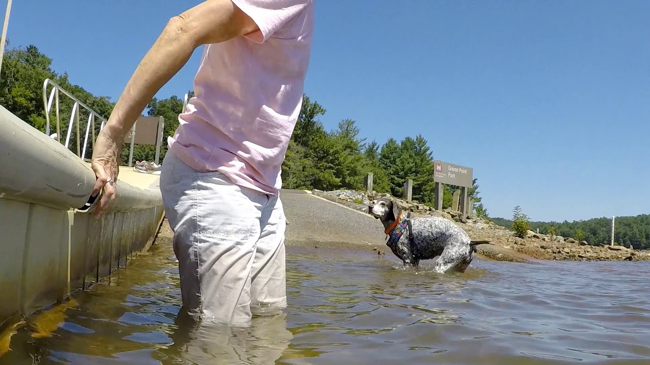Goose Point ACOE Lake HartwellSC - YouTube