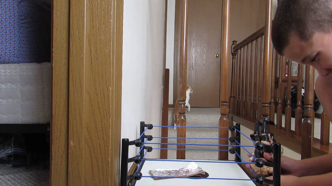 cm punk vs. undertaker tables match - YouTube
