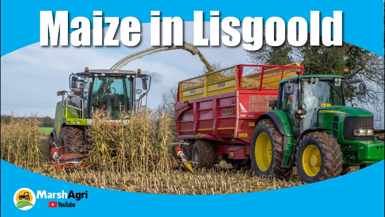 Maize in Lisgoold HD - YouTube