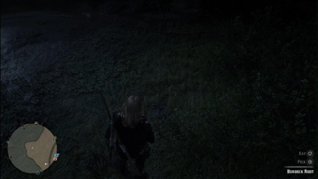 Ranger Is SUS - Red Dead Online Funny Moment - YouTube