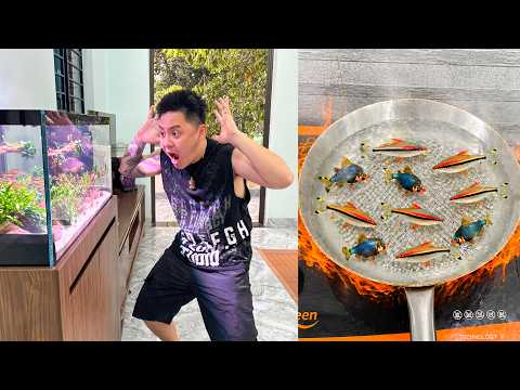 In this way, Mom managed to convince Dad to come home immediately