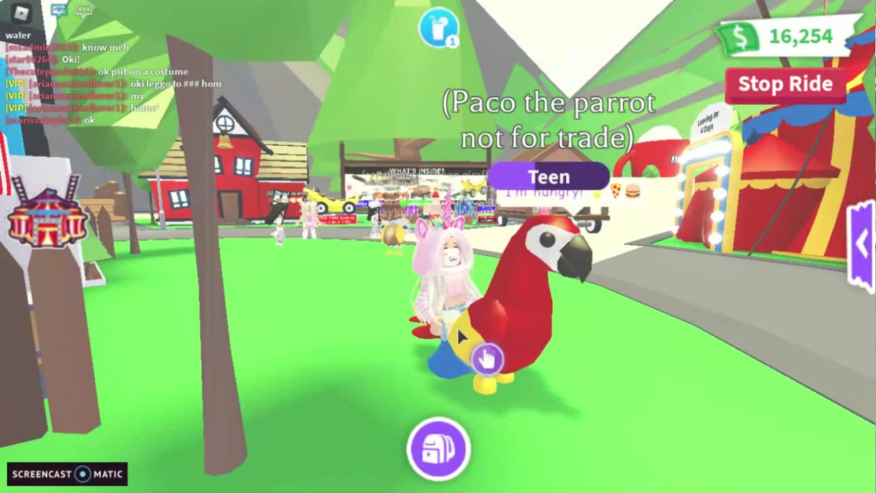 what people trade for a parrot fly ride! - YouTube