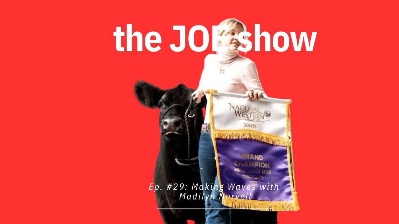 Making Waves with Madilyn Norvell - YouTube