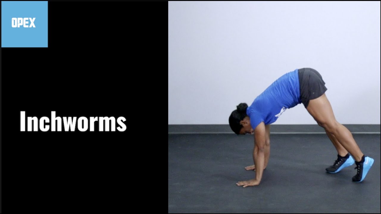 Inchworms - YouTube