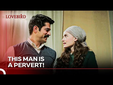 Feride And Kamran Announce That They Are Getting Married - Lovebird