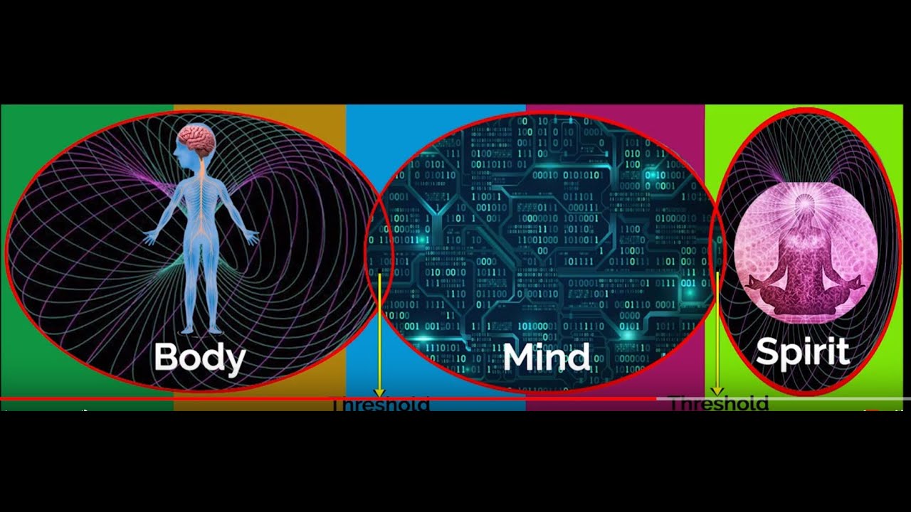 1-- Higher Consciousness & How To Access, Connect To Higher Self, Dive ...