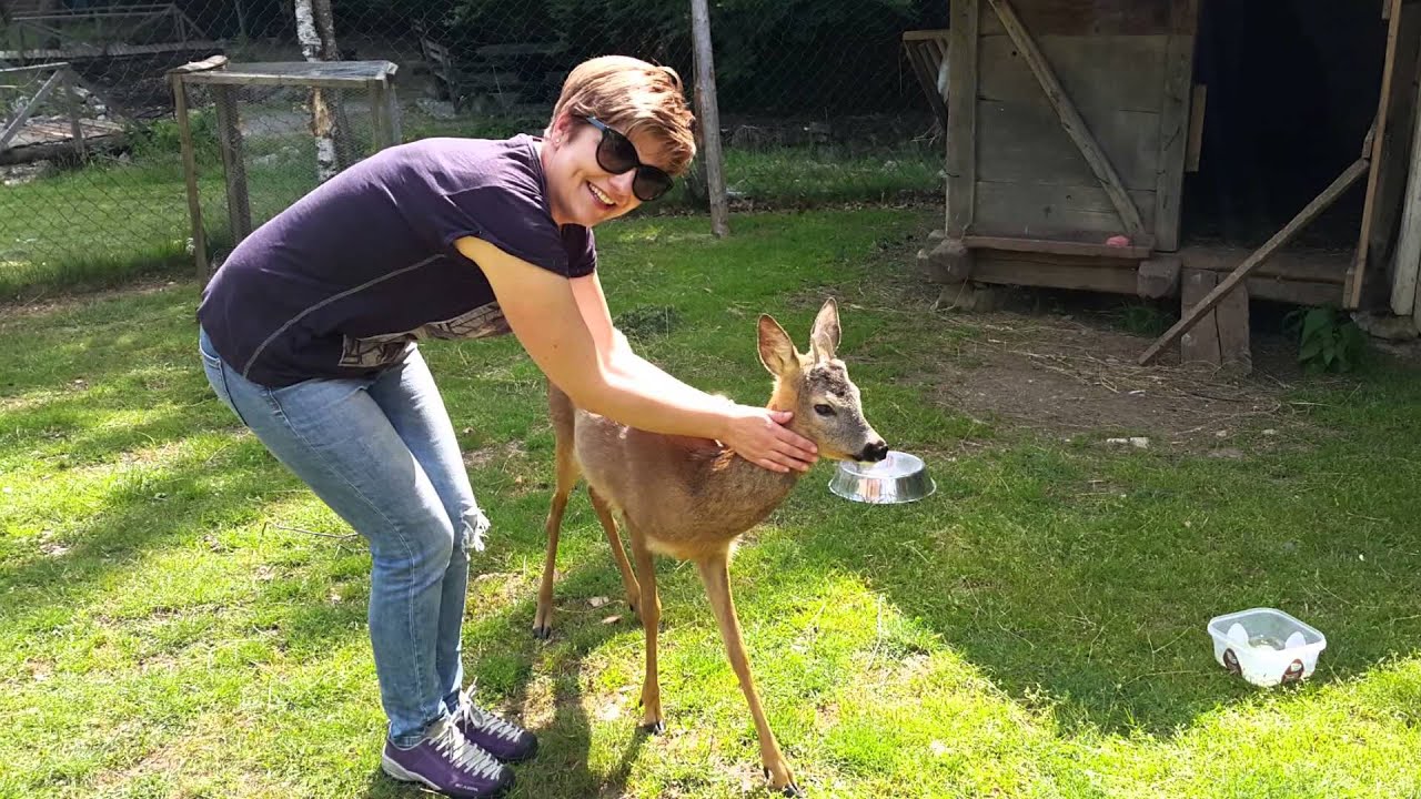 Izletište 'Ribnjak kod Šehe' - YouTube