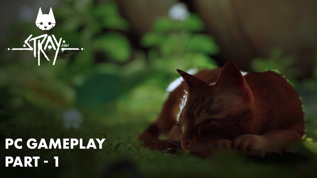 Stray Gameplay | Part 1 | PC - YouTube