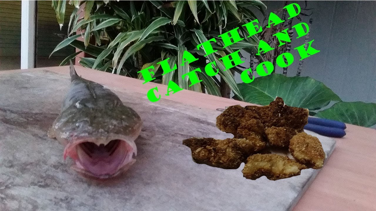 Catch 'n' Cook - MASSIVE Fresh Crumbed Flathead - YouTube