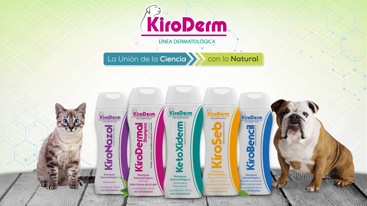 Familia KiroDerm (Nueva Línea Dermatológica) - YouTube