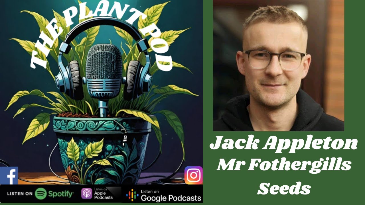 Jack Appleton - YouTube