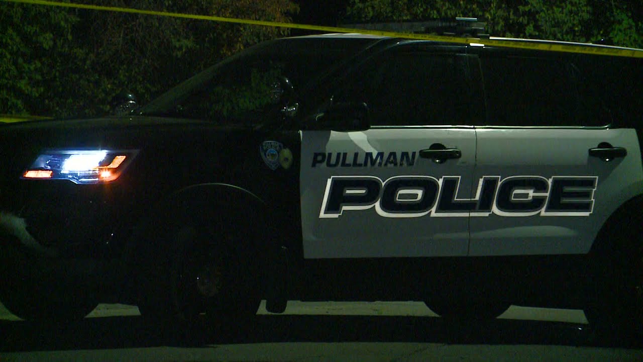 RAW: Scene of WSU shooting and interview with Pullman police - YouTube
