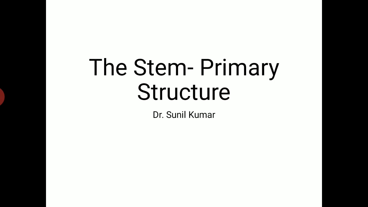 B. Sc. II The Stem - Primary Structure - YouTube