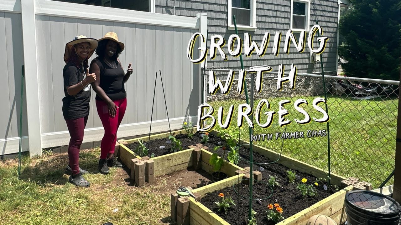 Growing With Burgess: Creating A Beautiful Garden in a Small Corner ...