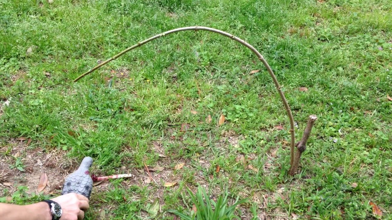 South-East Asian Bird Snare - YouTube