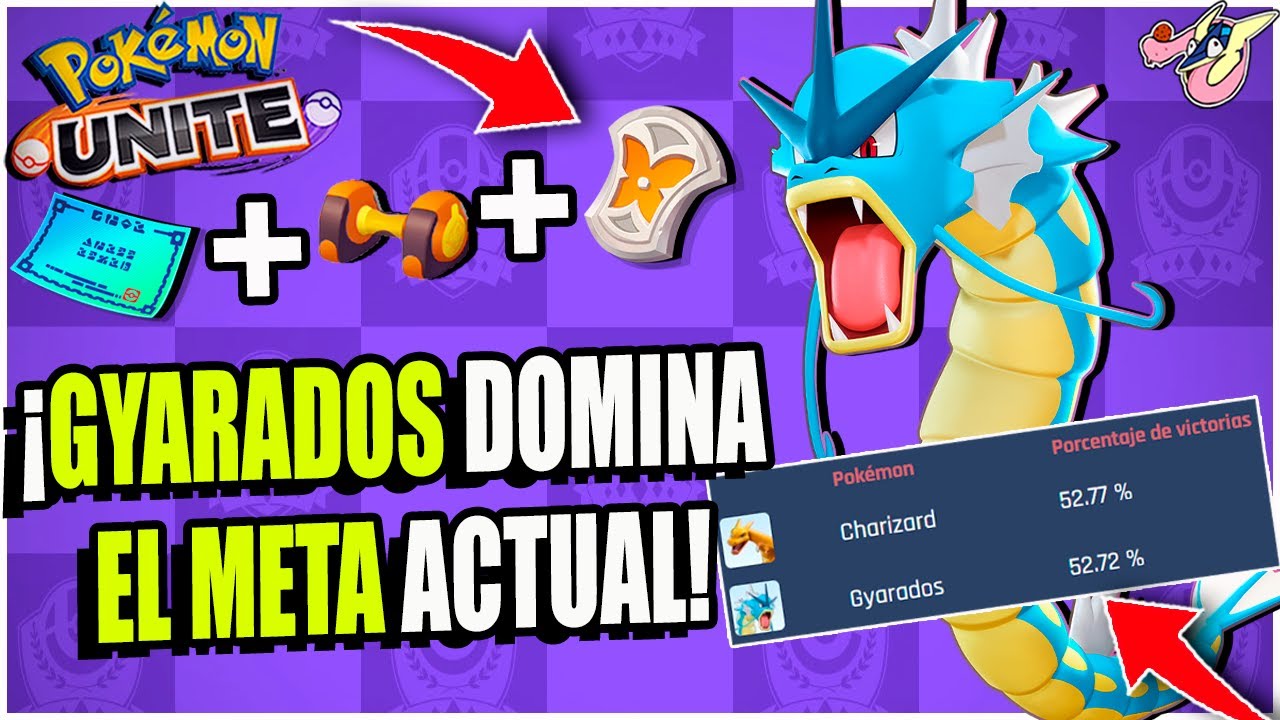 🔥¡EL MEJOR EQUILIBRADO del META ACTUAL! ¡MEJOR BUILD GYARADOS POKEMON ...