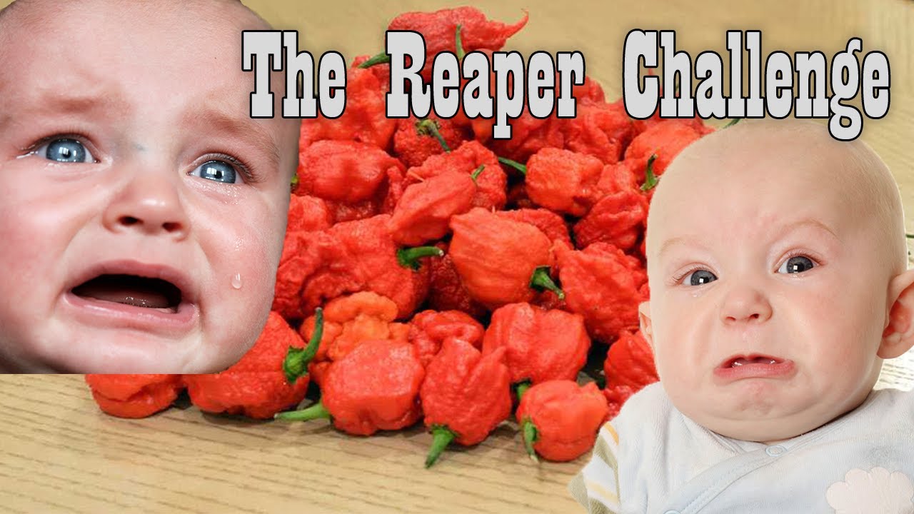Carolina Reaper Challenge - YouTube