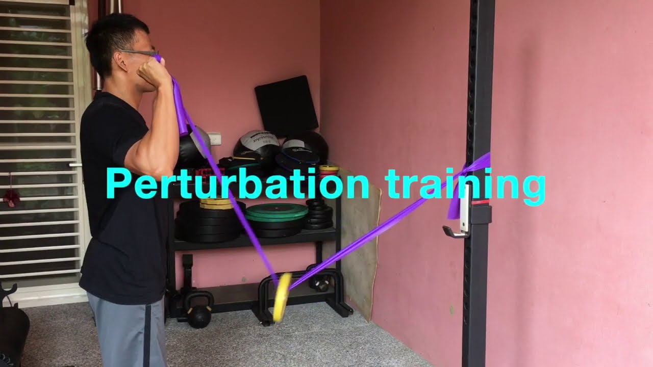 Perturbation training - YouTube