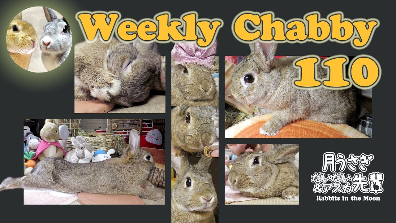 Weekly Chabby 110 - YouTube