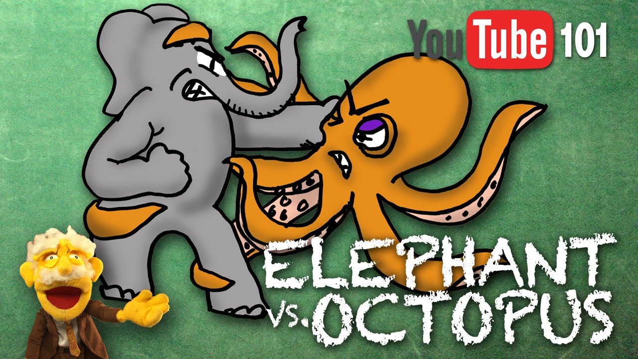 Elephant v. Octopus - YouTube 101 - YouTube