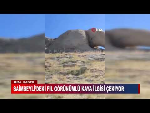 SAİMBEYLİ’DEKİ FİL GÖRÜNÜMLÜ KAYA İLGİSİ ÇEKİYOR
