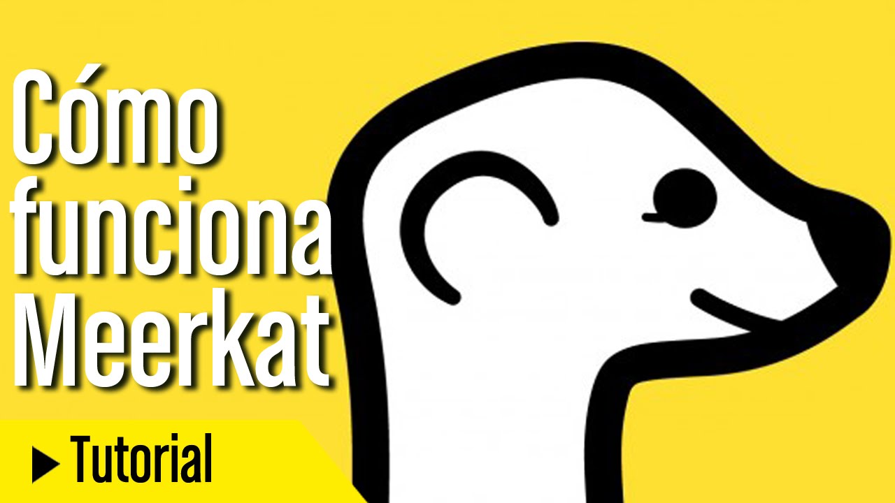 Qué es y cómo funciona Meerkat para iOS y Android - YouTube