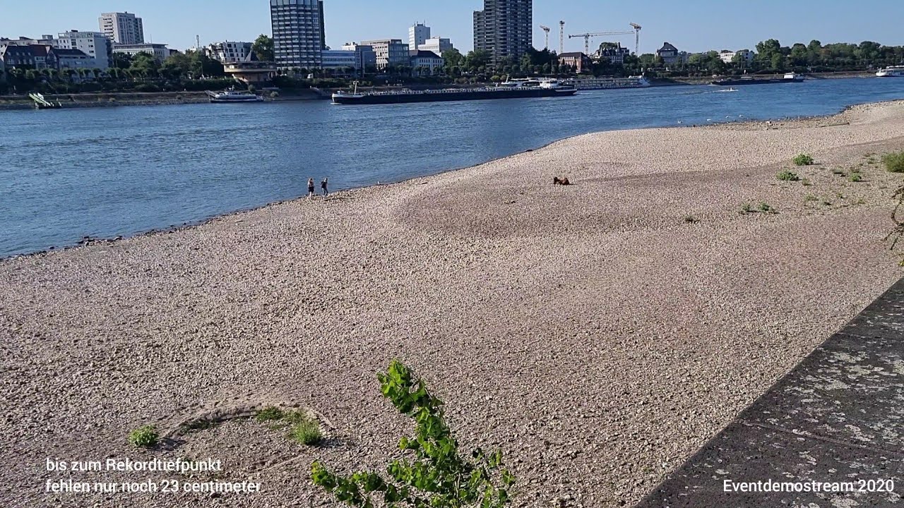 Niedriger Wasserstand am Rhein: Rheinpegel sinkt unter einem Meter ...