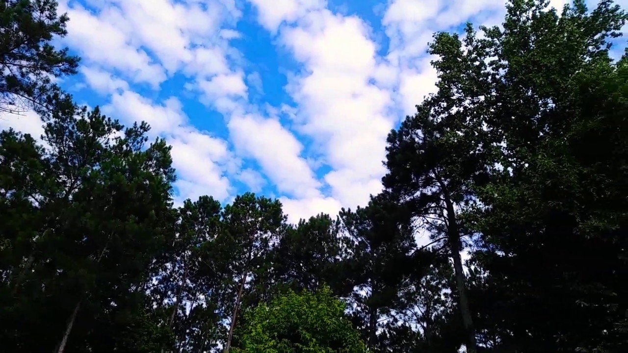 last day of spring 2020 - YouTube