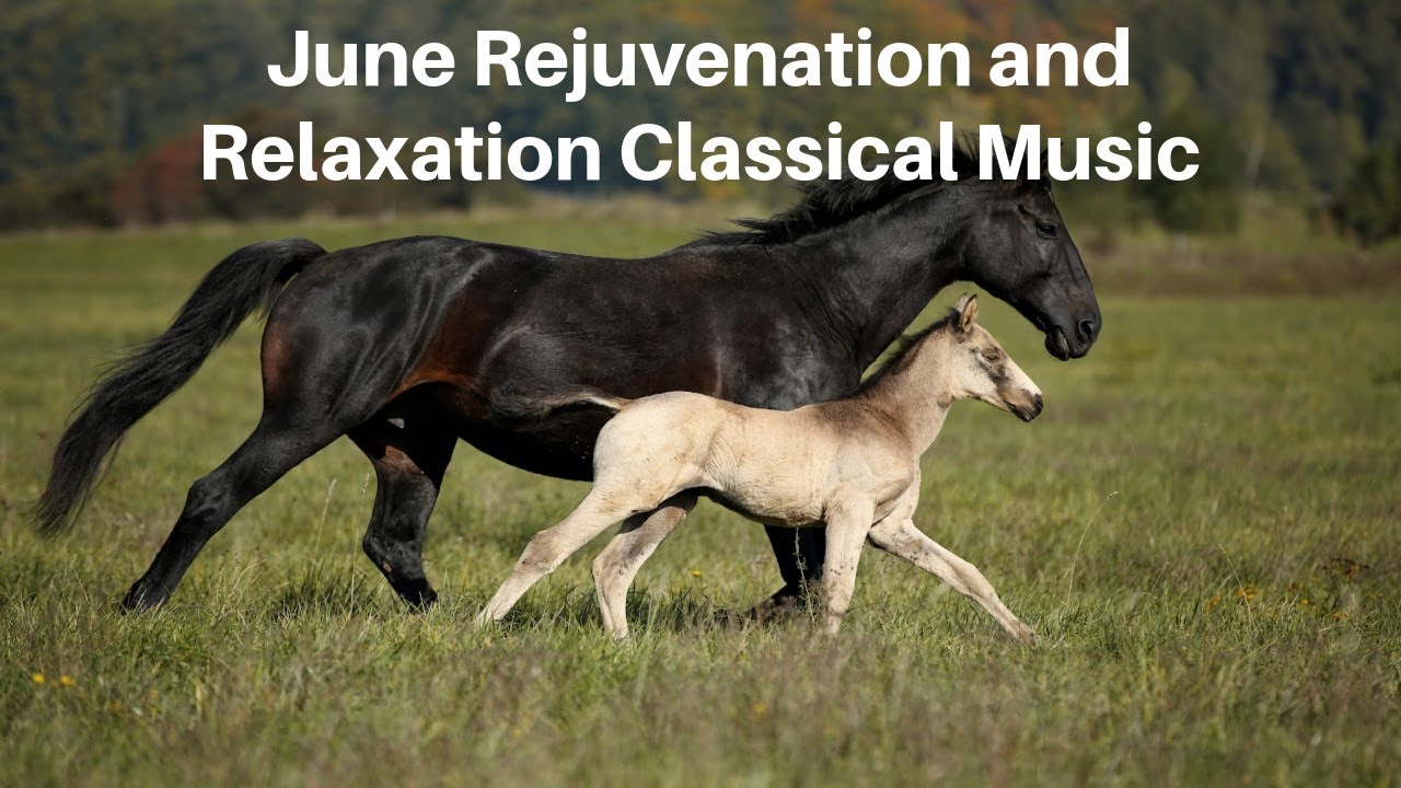 June Rejuvenation and Relaxation - YouTube