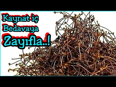 Hızlı Kilo Verdiren Bu Ödem Atıcı Detoks Çayını İçerek  Kolayca Zayıflamak Mümkün