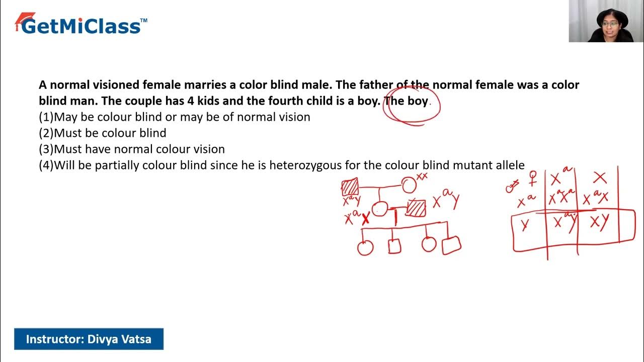 Genetics of Colour Blindness Explained NEET 12th Biology Principle of ...