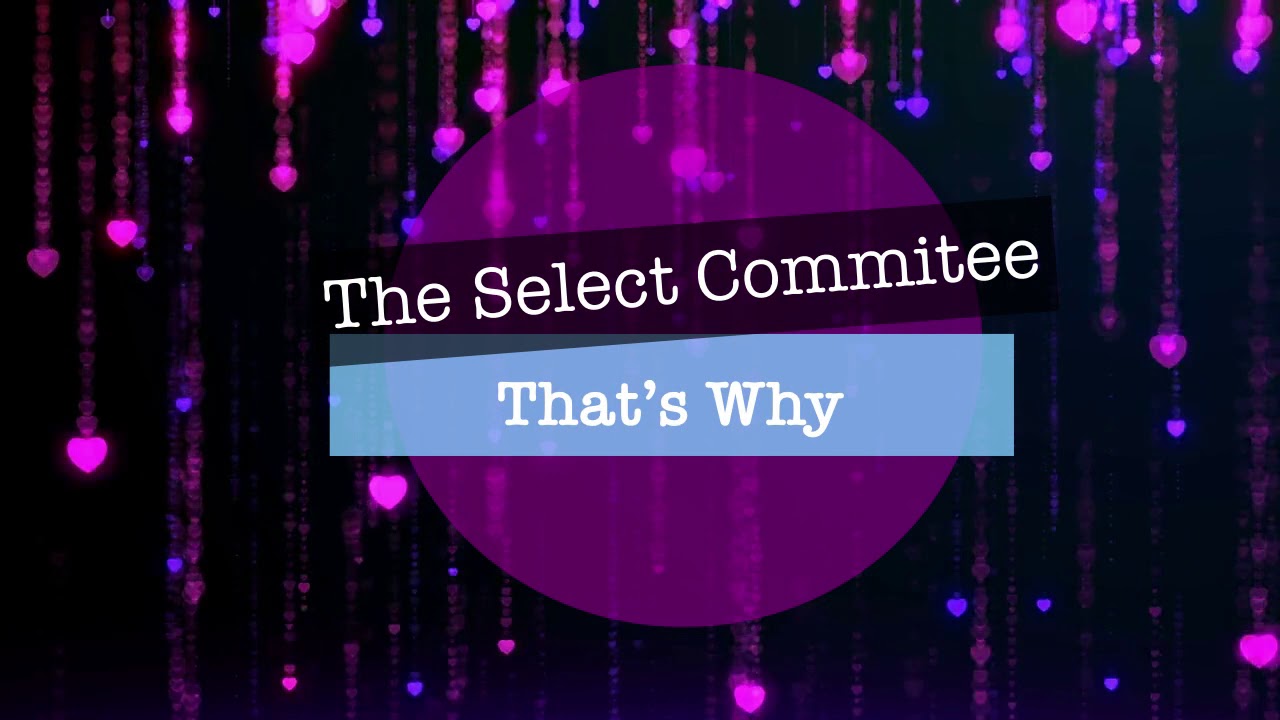 the-select-committee-that-s-why-youtube