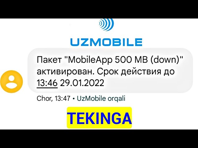 Uzmobile Logo Commercial Manager – Bluecom Somaliland