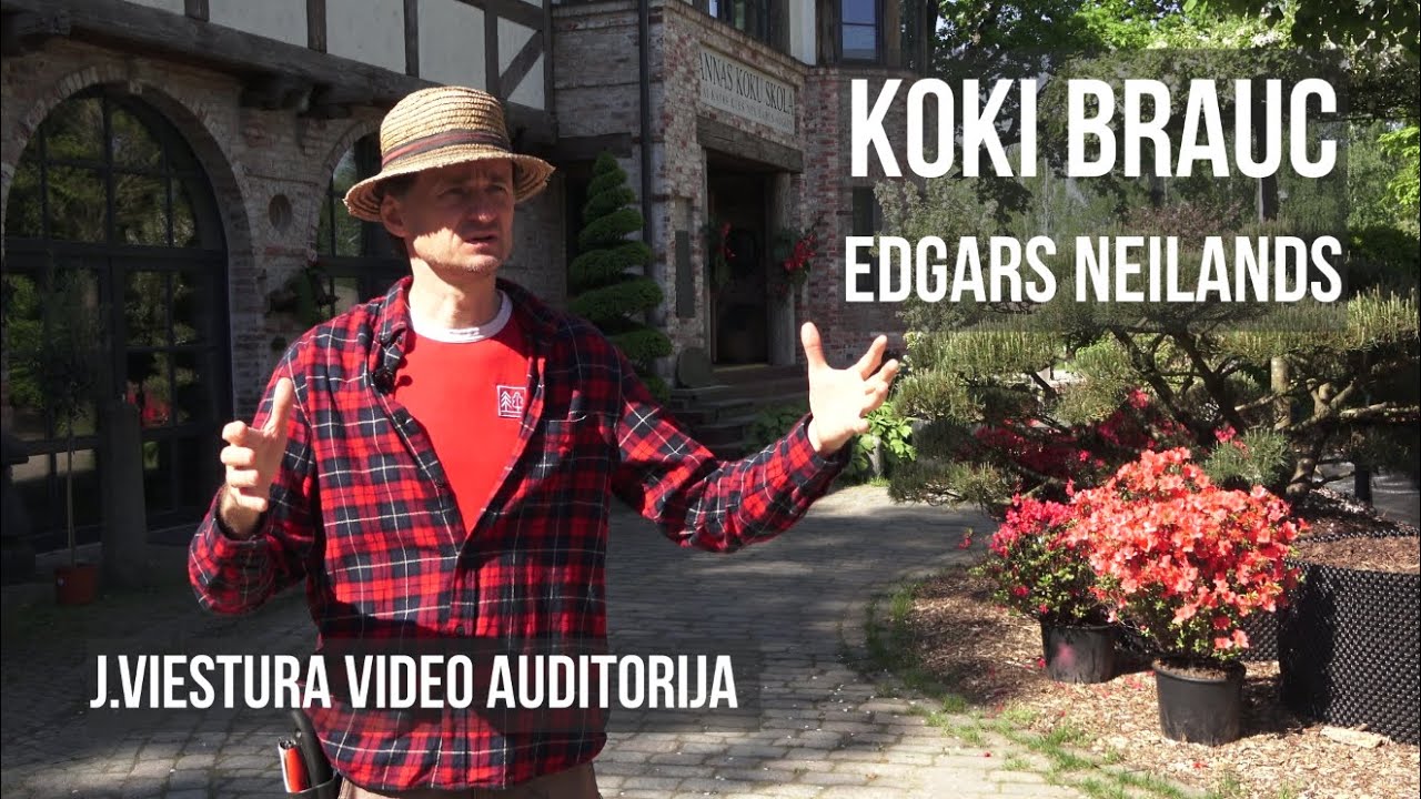 Koki brauc. Edgars Neilands (Nr.68). #nekustamaisīpašums #izglītiba # ...