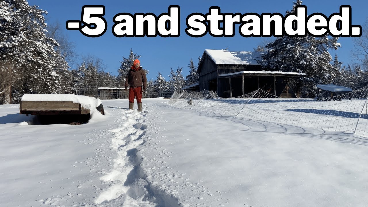 Trapped On The Homestead and I Forgot Something Critical. - YouTube