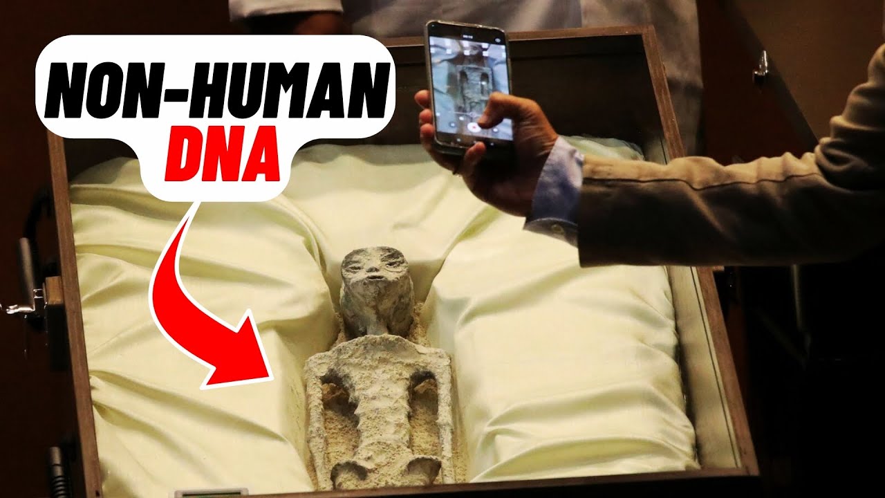 Shocking Discovery: Scientists Uncover Non Human DNA in Alien Remains ...