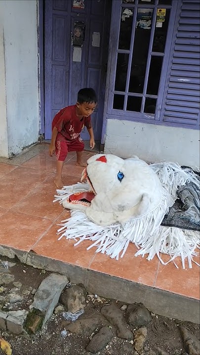 Can macanan tidur ternyata bisa gigit - YouTube