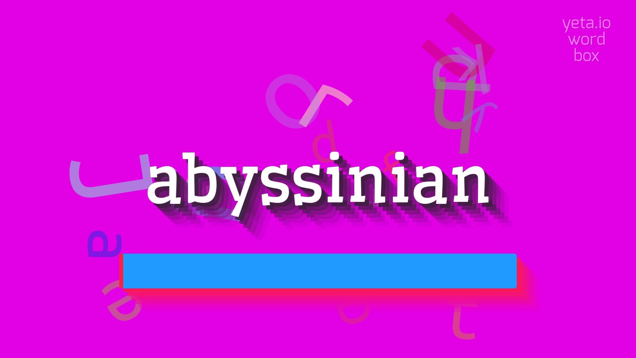 HOW TO PRONOUNCE ABYSSINIAN? #abyssinian - YouTube