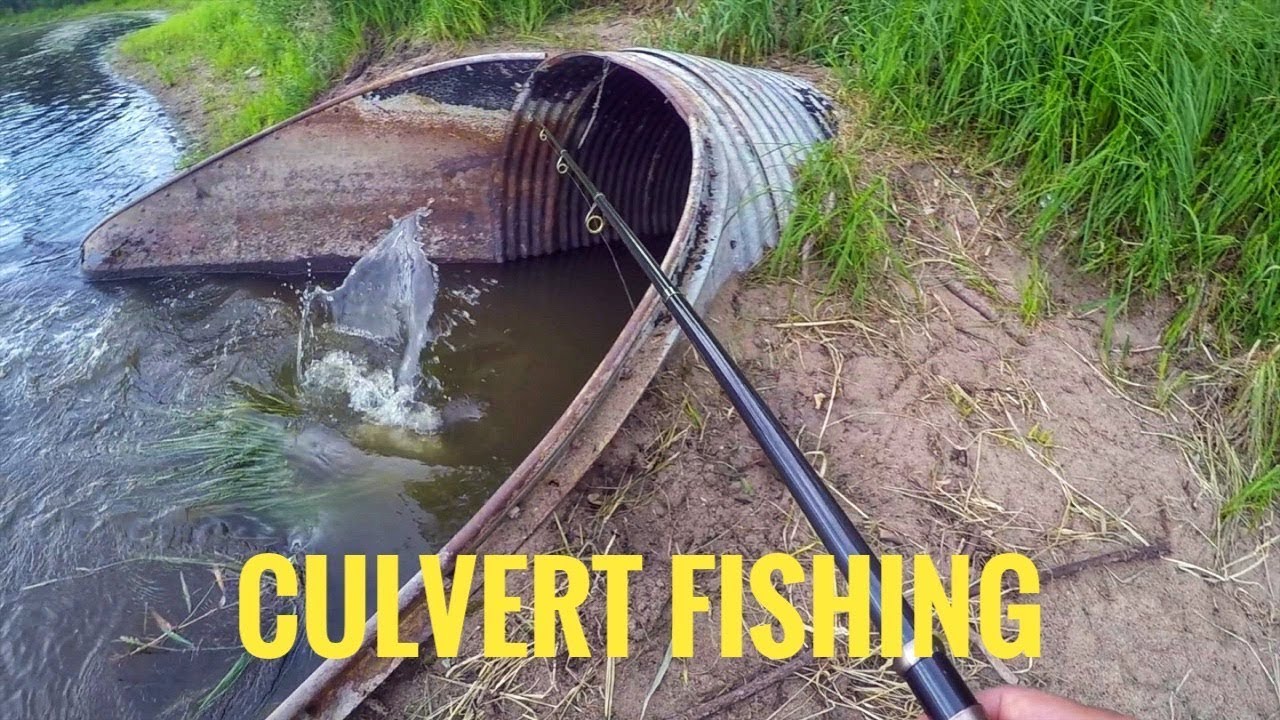 CULVERT FISHING For Huge Fish!!! - YouTube