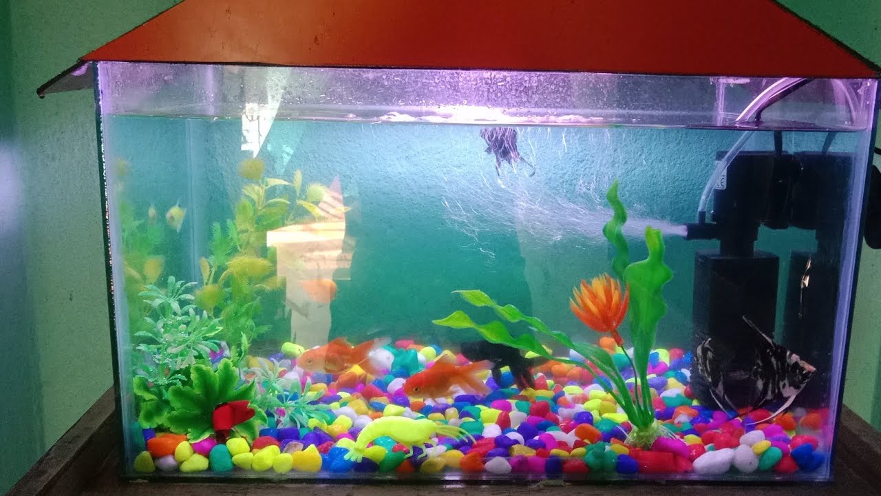 fish aquarium decoration ideas 💡 / aquarium fish tank making ...