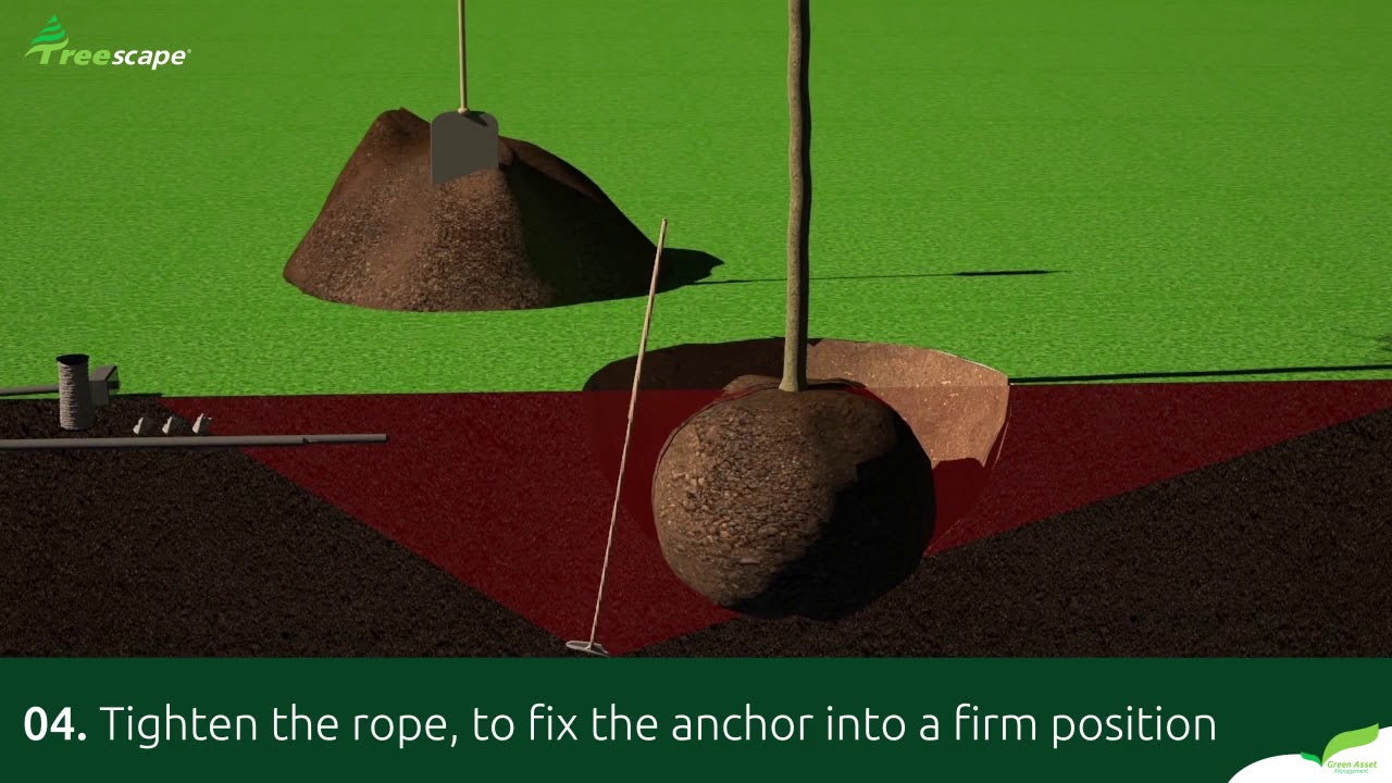 How To Plant a Tree with the Keeper System - YouTube