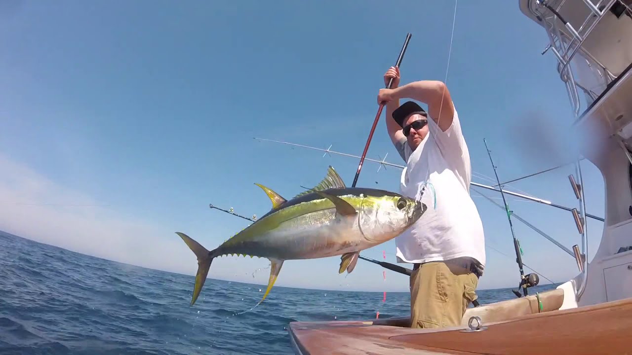 Yellowfin tuna fishing from Rudee Inlet, Virginia Beach VA - YouTube
