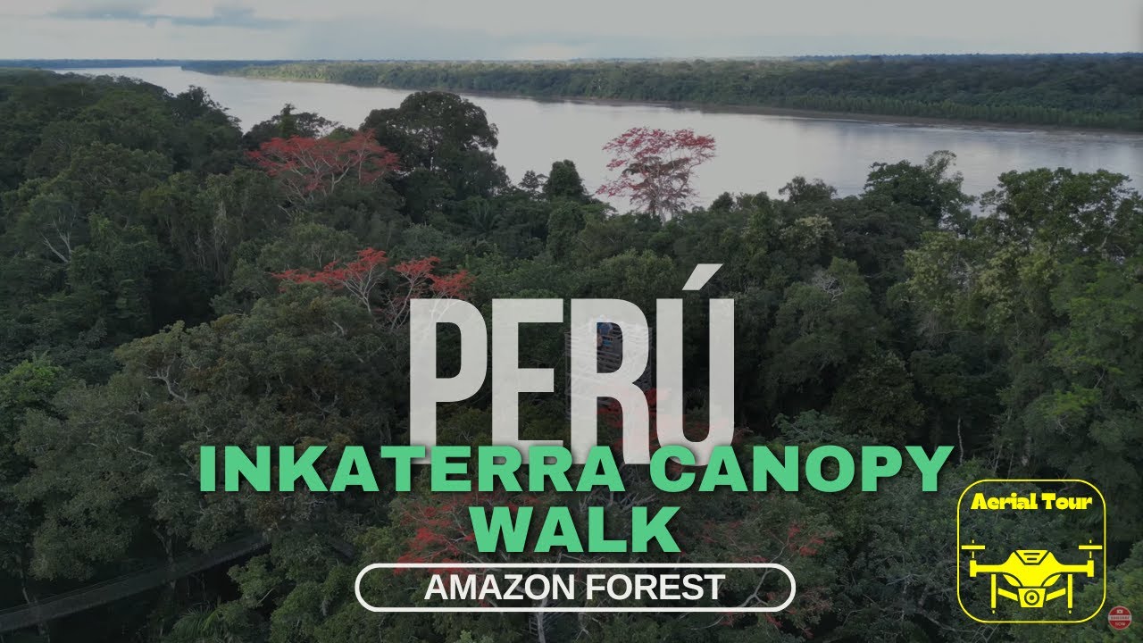 Amazon Forest Inkaterra Canopy Walk in 4K Puerto Maldonado, Peru - YouTube