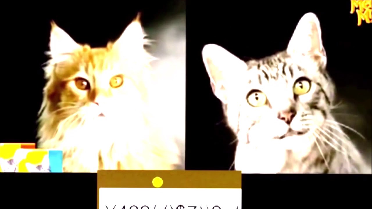 Meow Mix German Fast 2x Normal Slow 2x - YouTube