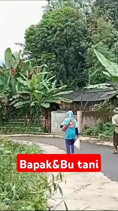 view pedesaan di pagi hari,Pak tani&Ibu tani. #pedesaanjawabarat #desa #gunungjawabarat #sawah ...