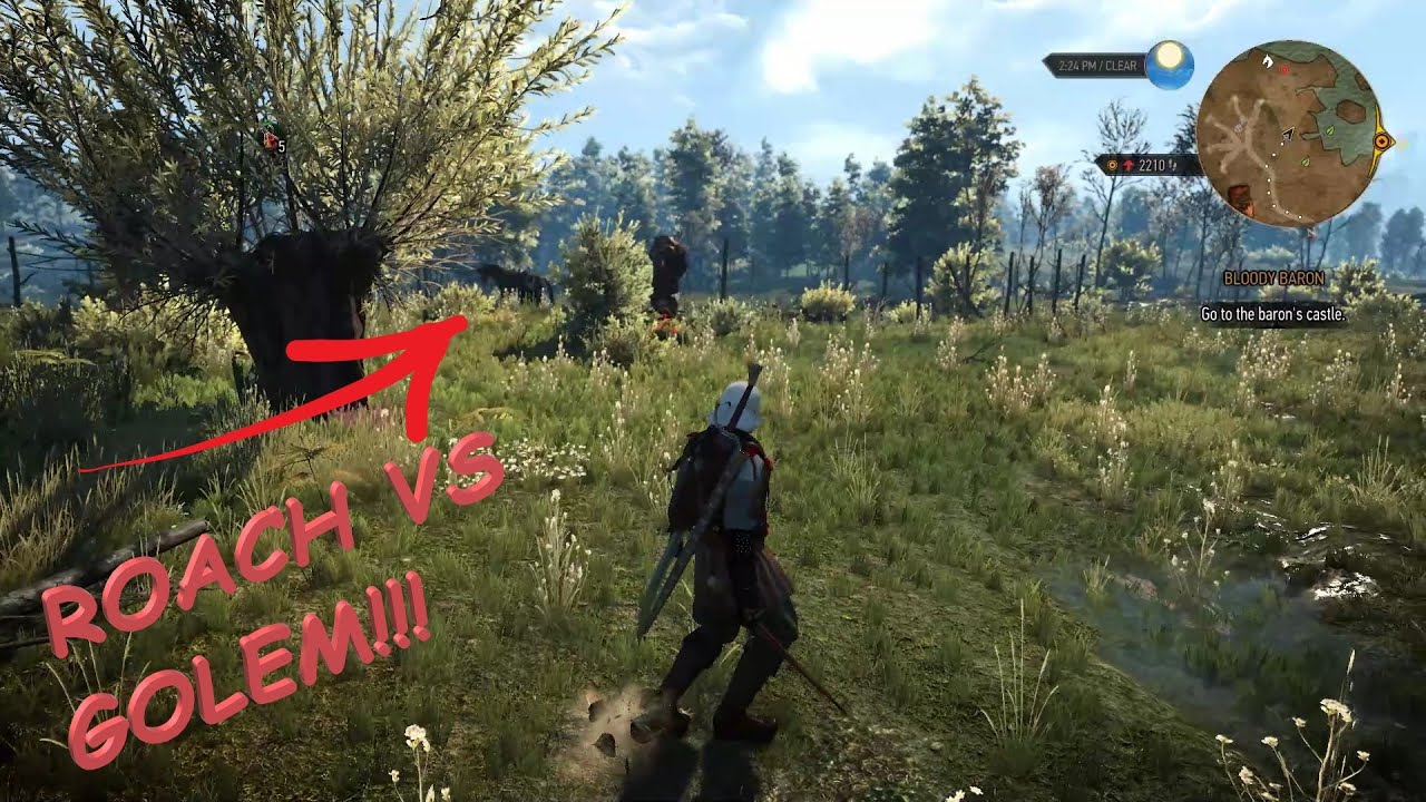 The Witcher 3: Roach Doing His Part - YouTube