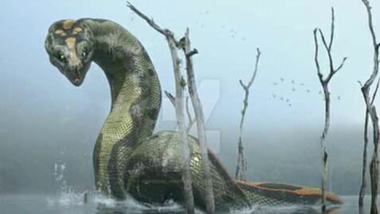 Maajabu ya msitu wa amazon usiyoyafahamu - YouTube