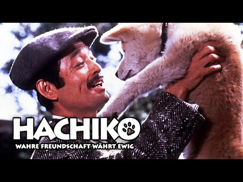 Hachiko – Wahre Freundschaft währt ewig (DRAMA | komplette Familienfilm in voller Länge anschauen)