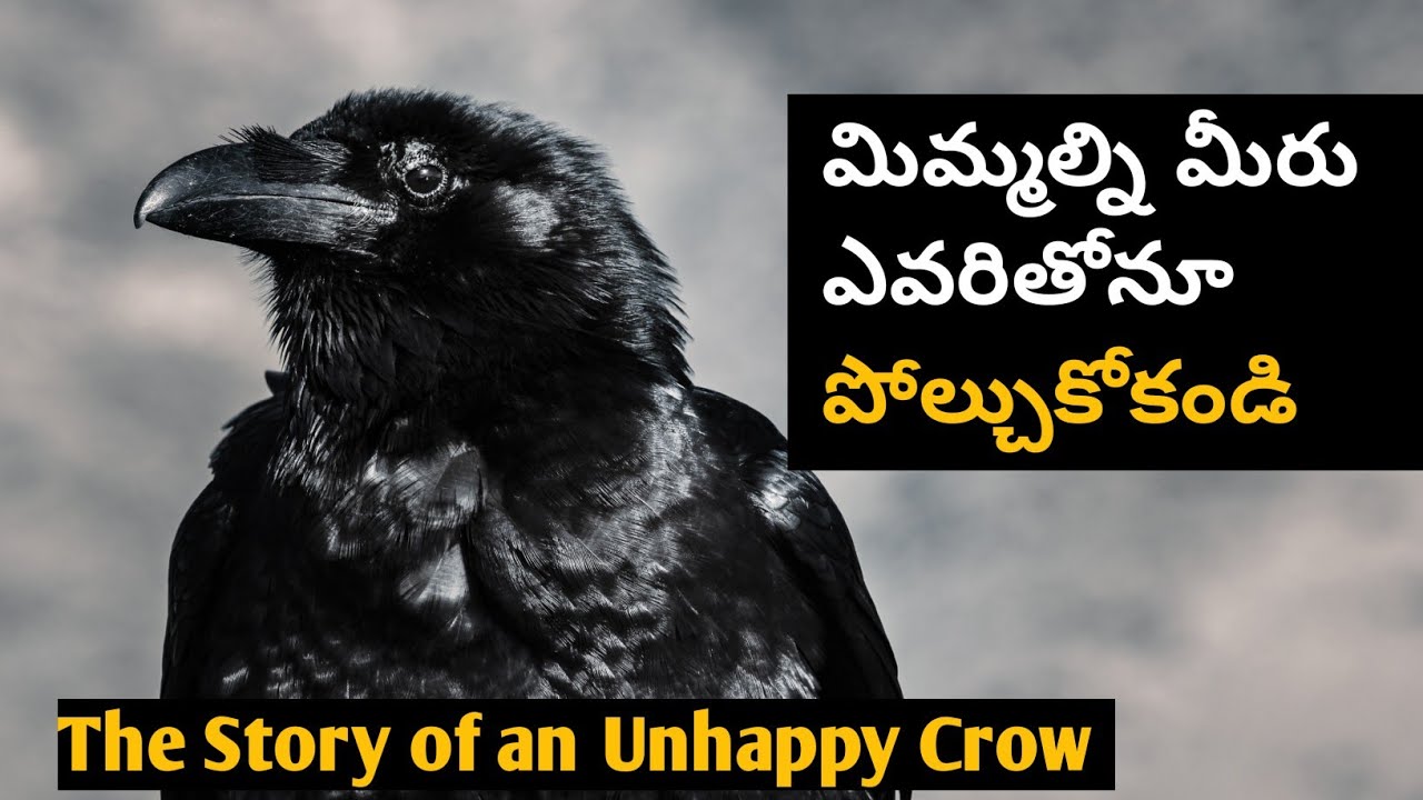 మిమ్మల్ని మీరు ఎవరితోనూ పోల్చుకోకండి| The Story of an Unhappy Crow ...