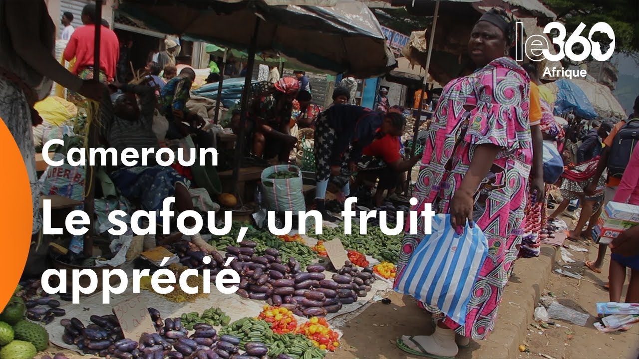Cameroun: le safou, cette prune qui permet aux familles de mettre du ...